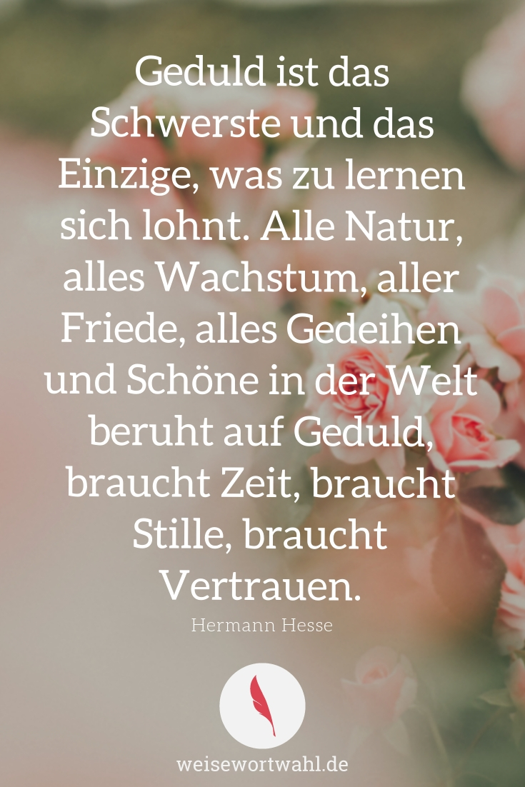 Geduld ist das Schwerste und das Einzige, was zu lernen sich lohnt ...